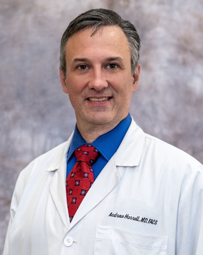 Andrew Harrell MD